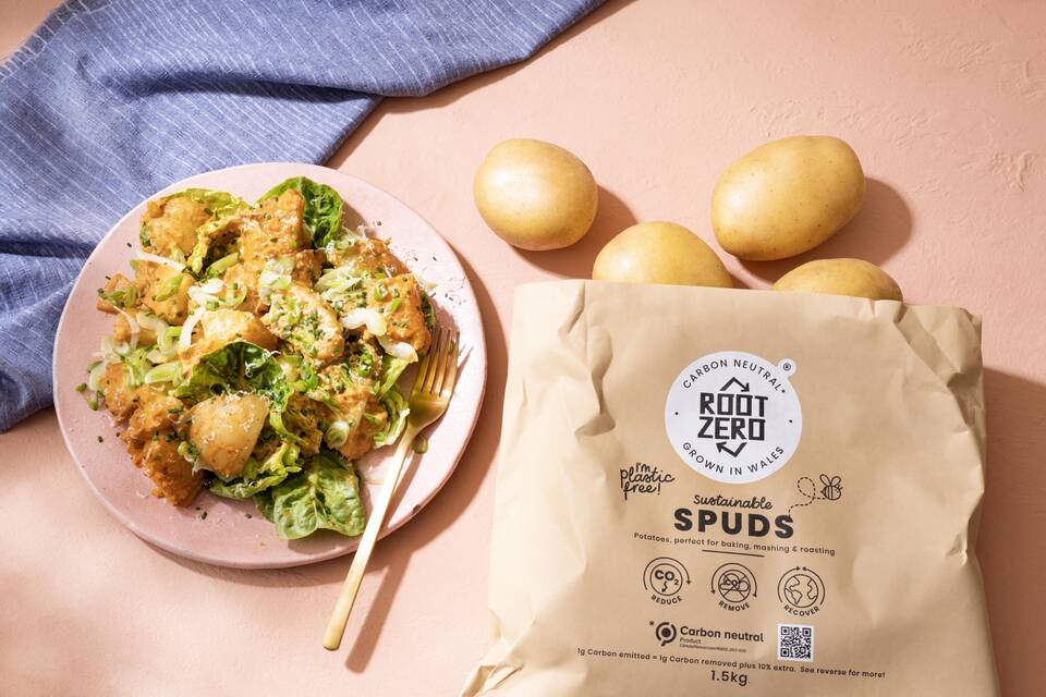 Spicy Potato Caesar Salad | RootZero